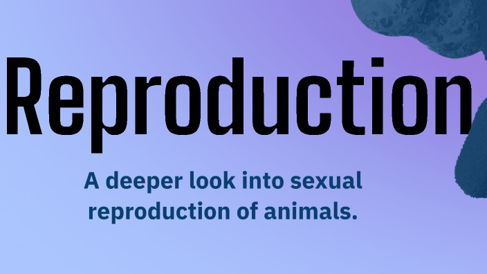 Reproduction by Yusra Amjad on Prezi