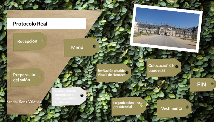 Practica 4 protocolo real by Sandra Borja on Prezi