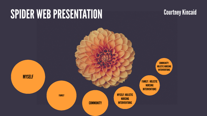 Spider Web Presentation by Courtney Kincaid on Prezi
