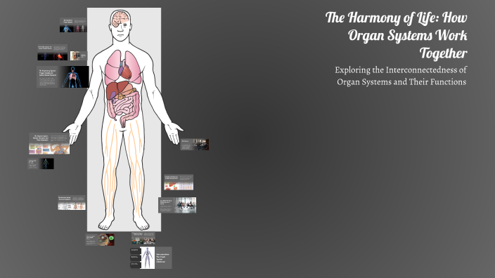 The Harmony of Life: How Organ Systems Work Together by Justine Almazan ...