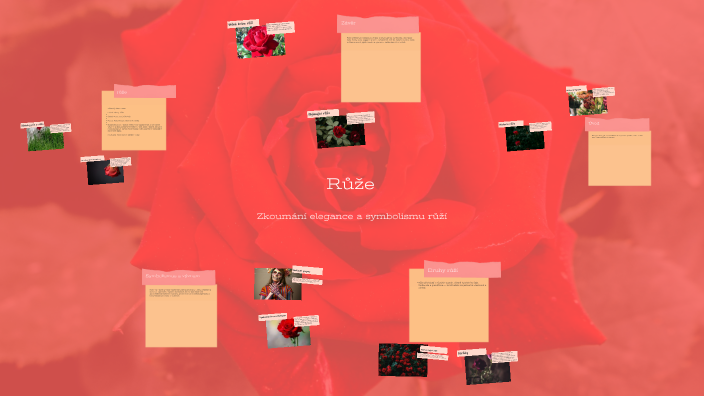 The Beauty of Roses by Jakub Vašků on Prezi