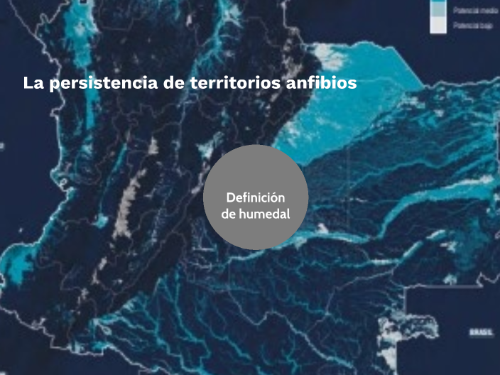 La persistencia de territorios anfibios by Jaime Alberto Olarte Guasca ...