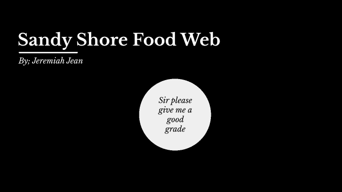Sandy Shore Food Web by Jeremiah Jean on Prezi