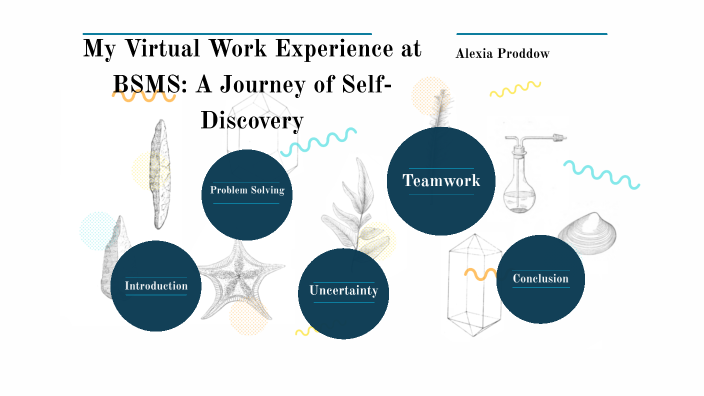BSMS Reflection by Alexia Proddow on Prezi