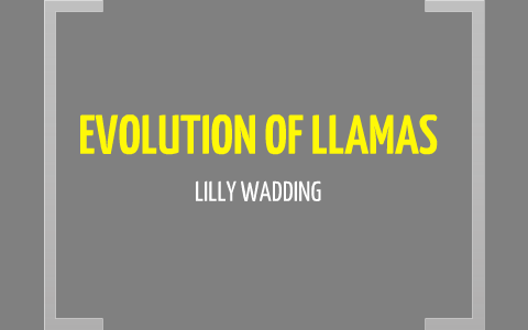 Evolution of Llamas by Lilly Wadding on Prezi
