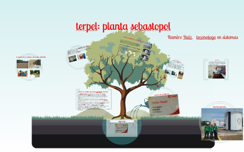 terpel: planta sebastopol by on Prezi