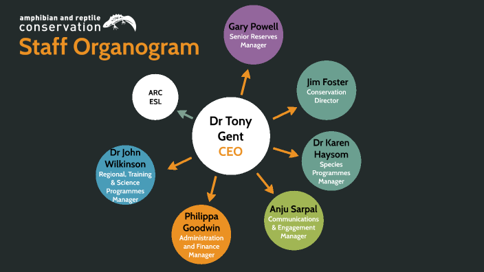 ARC staff organogram by ARC Comms on Prezi