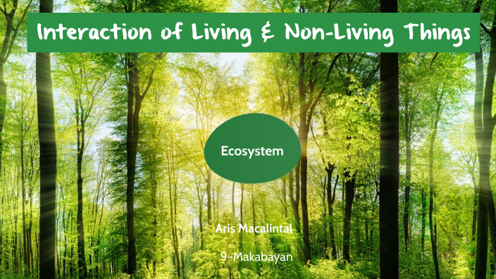 Non Living Things In Nature