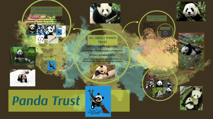 Panda Trust by Samina Ali on Prezi