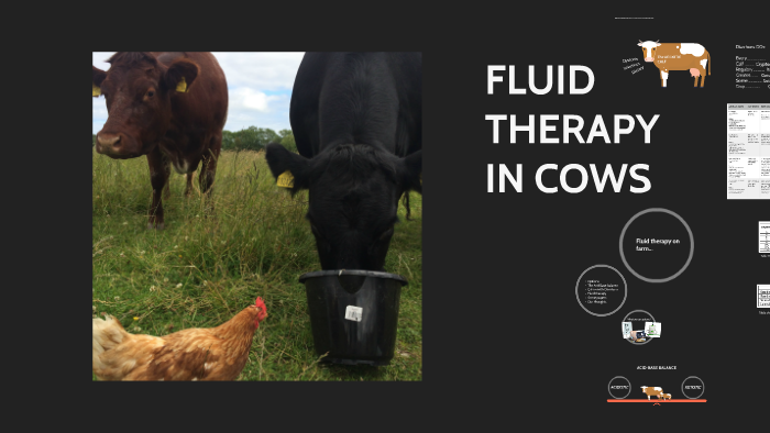 FLUID THERAPY IN CATTLE by Kirsten Ashcroft on Prezi