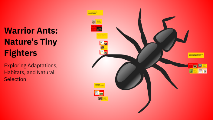 Warrior Ants: Nature's Tiny Fighters by Derek Kim on Prezi