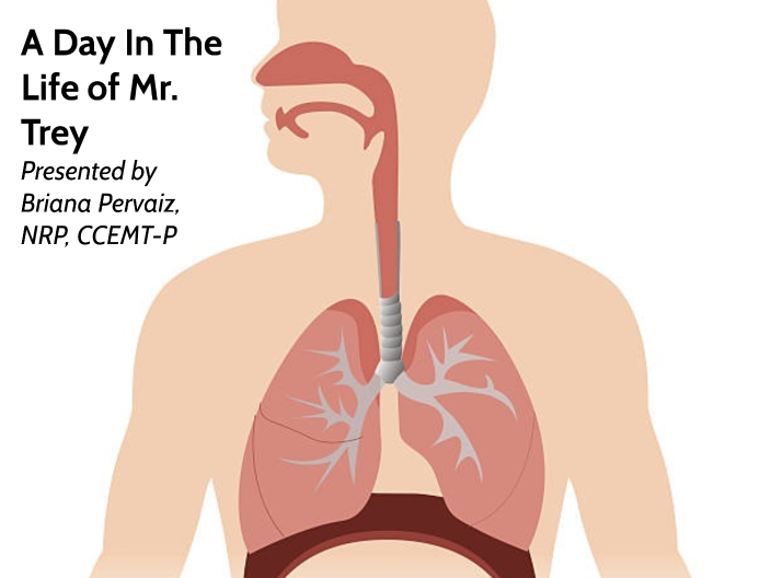 Airway Management for the BLS Provider by Briana Pervaiz on Prezi