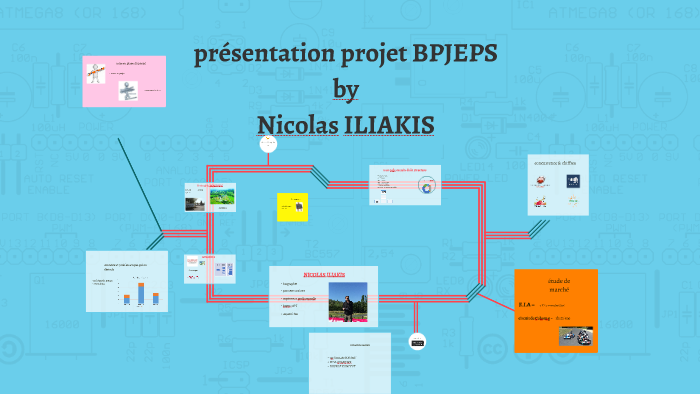présentation projet BPJEPS by Nicolas ILIAKIS on Prezi