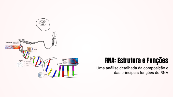RNA: Estrutura e Funções by jo4aomnzs on Prezi
