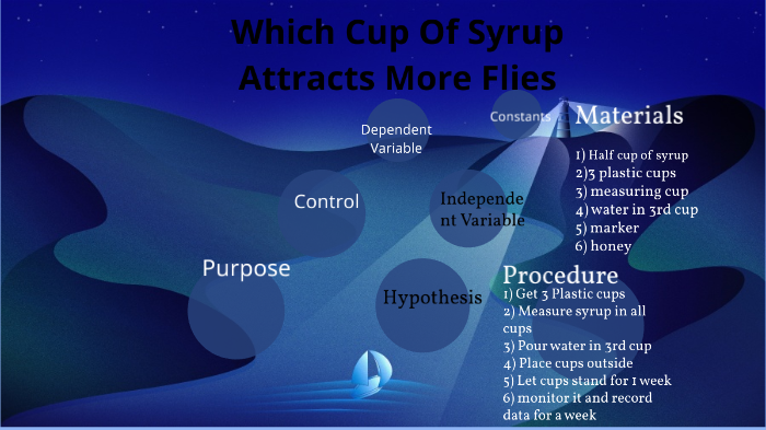 Which Cup Of Syrup Attracts More Flies by Tansa Jones on Prezi