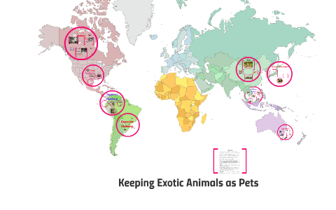Keeping Exotic Animals as Pets by Allison Jankovits on Prezi