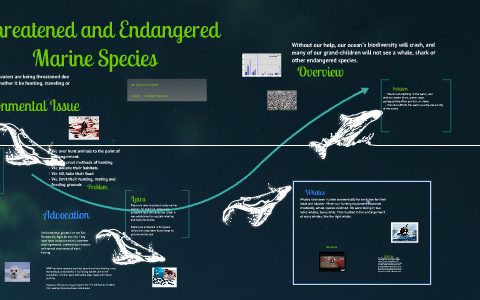 Threatened and Endangered Marine Species by Kristen Grant on Prezi