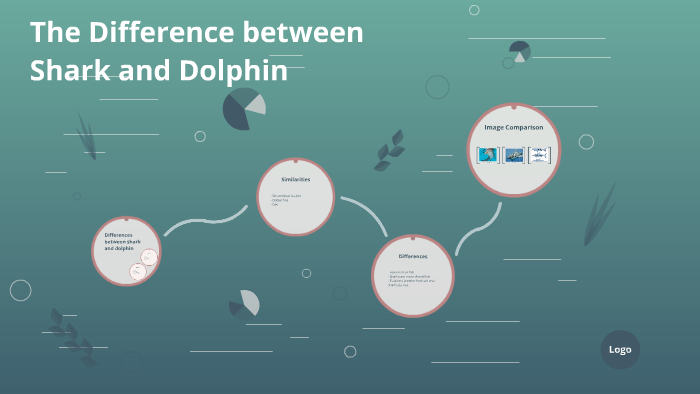 The Difference between Shark and Dolphin by Joan Shavel on Prezi