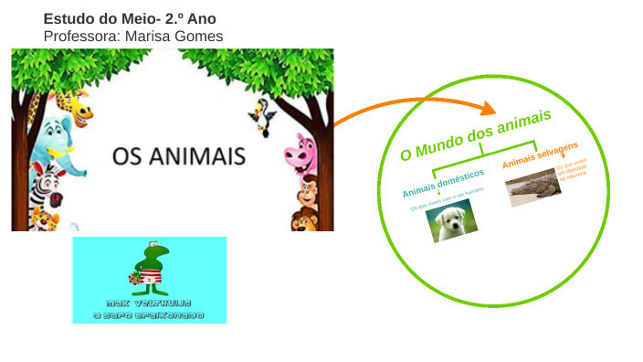 Estudo Do Meio Os Animais By Marisa Gomes On Prezi