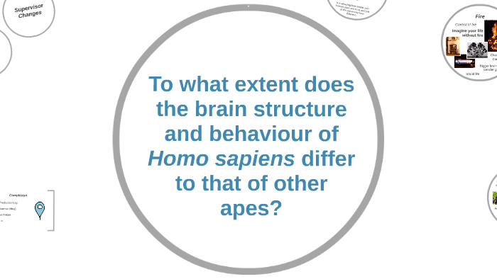 EPQ Presentation (Human and ape brains and behaviour) by Holly G on Prezi