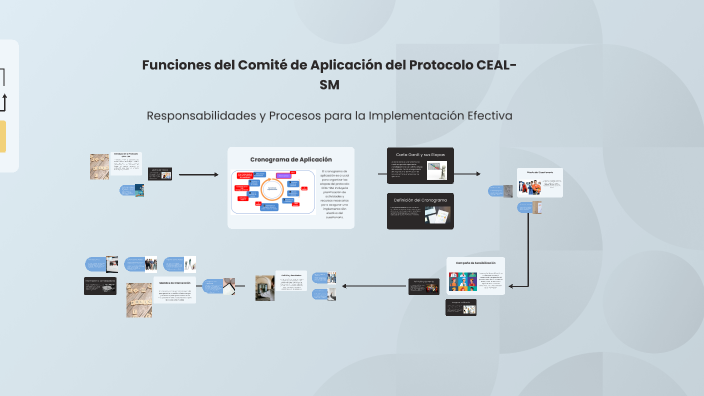 Funciones del Comité de Aplicación del Protocolo CEAL-SM by andres ...