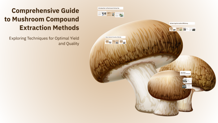 Comprehensive Guide to Mushroom Compound Extraction Methods by Diego ...