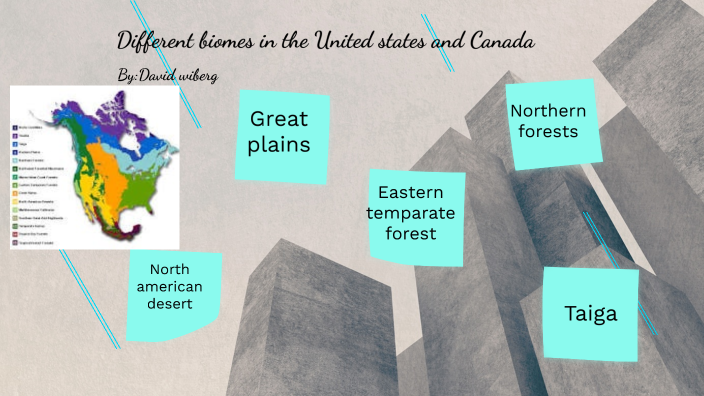 Different biomes in the United states and Canada by David Wiberg on Prezi