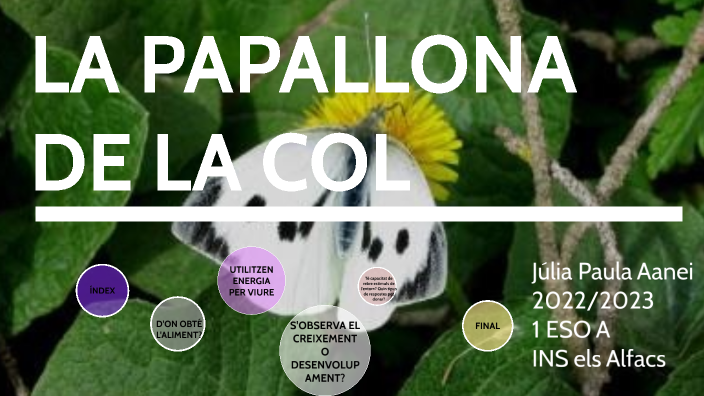 La Papallona de la Col by Juls Aanei on Prezi