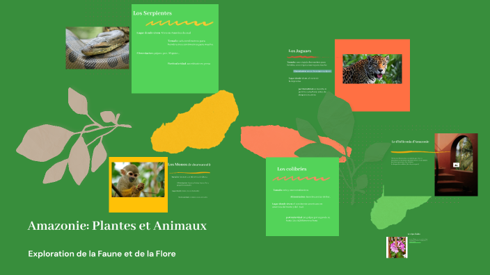 Amazonie: Plantes et Animaux by Maëva Vincent on Prezi