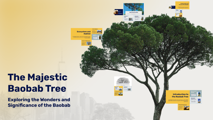 The Majestic Baobab Tree by Test User on Prezi