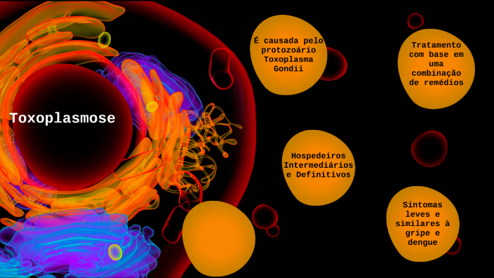 Toxoplasmose by antonio oliveira on Prezi