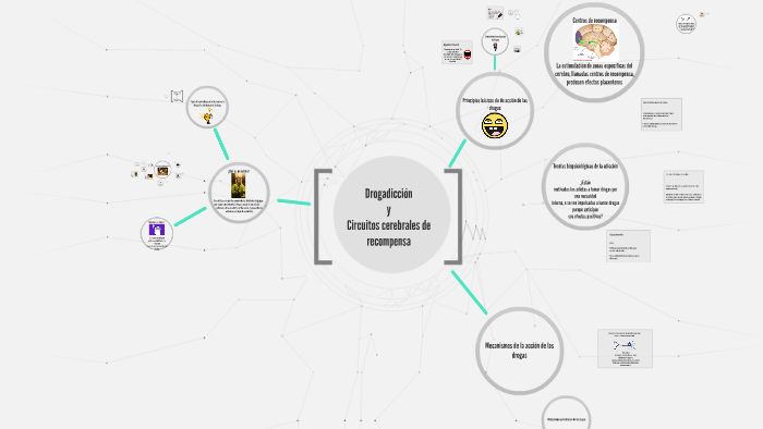 Drogadiccion by Alex Delfin on Prezi