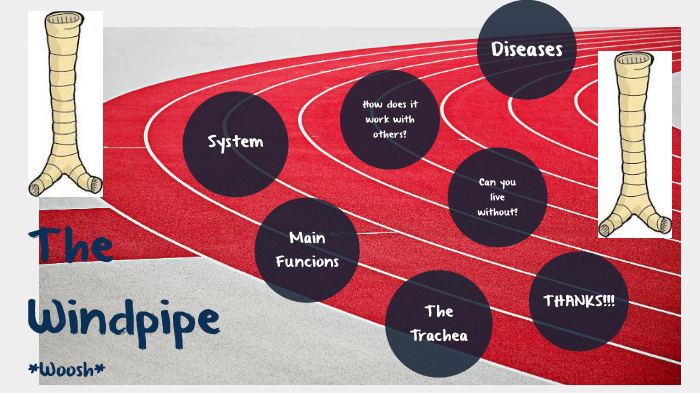 Windpipe Organ Trail by Brandan Beatrice on Prezi