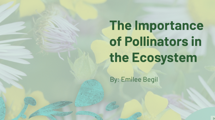 The Importance of Pollinators in the Ecosystem by emilee begil on Prezi
