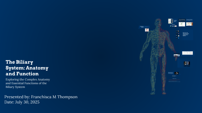 The Biliary System: Anatomy and Function by Franchisca Thompson on Prezi