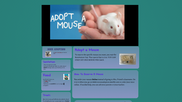 Mice adoption by Ashley Jones