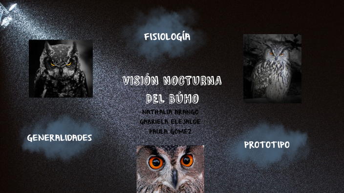 visión nocturna del búho by Nata Arango on Prezi