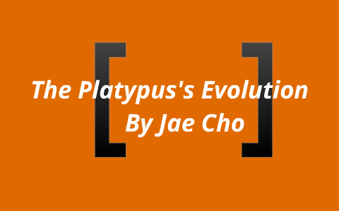 The evolution of the Platypus by Jae Cho on Prezi