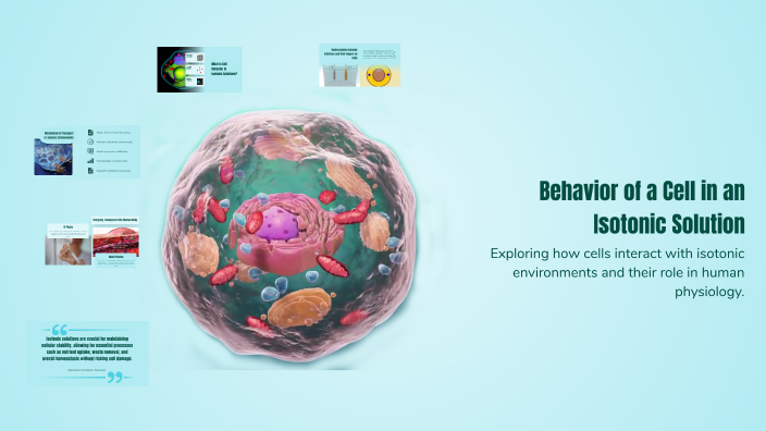 Behavior of a Cell in an Isotonic Solution by Sebastian Gutierrez on Prezi