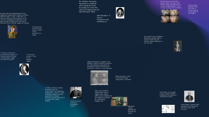friction ridge definetion the skin that is present along the lengths of ...