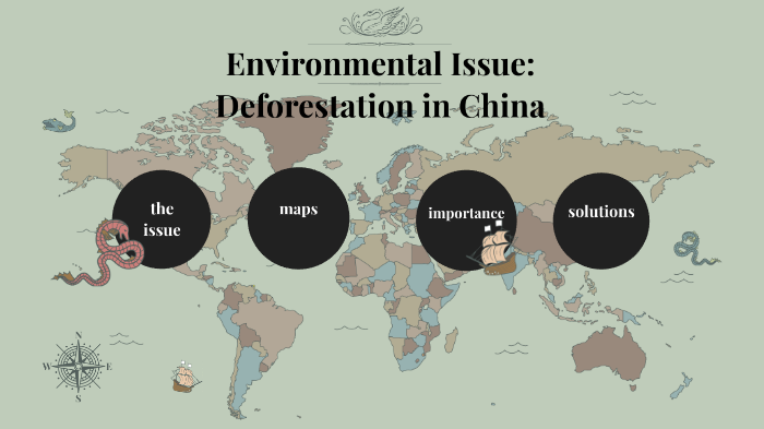 Environmental Issue: Deforestation in China by Patrick Ong on Prezi