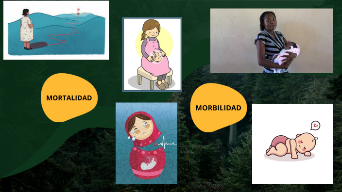 morbilidad y mortalidad by july Marin on Prezi