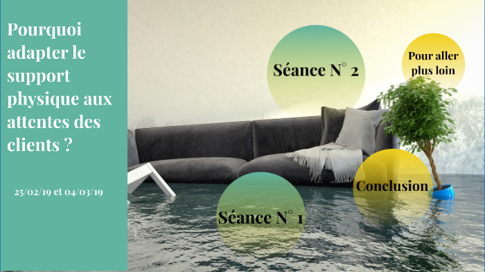 SEANCE N°8 L'ADEQUATION DU SUPPORT PHYSIQUE AUX ATTENTES DES CLIENTS by ...