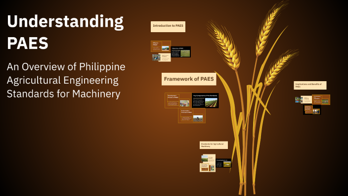 Understanding PAES by Joey Escomen on Prezi