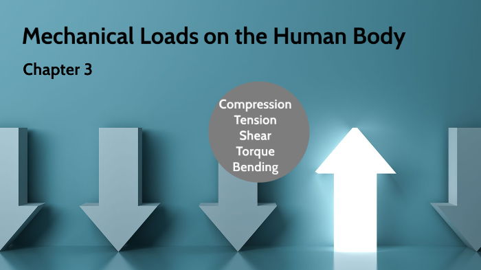 Mechanical Loads on the Human Body by Melissa Hudson on Prezi