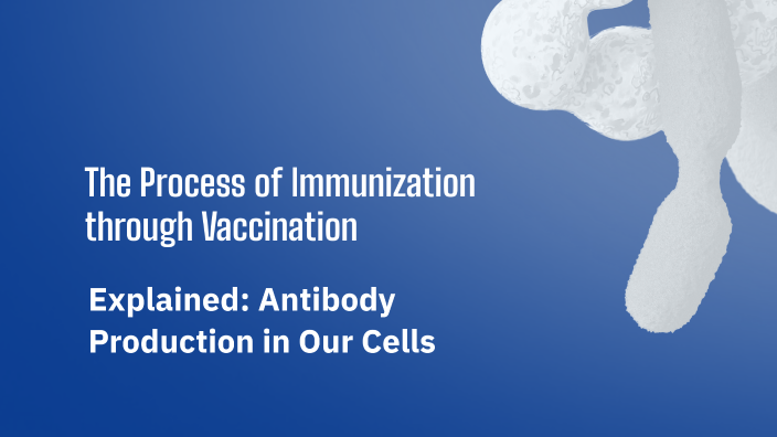 The Process of Immunization through Vaccination by Hediyeh Irankhah on ...