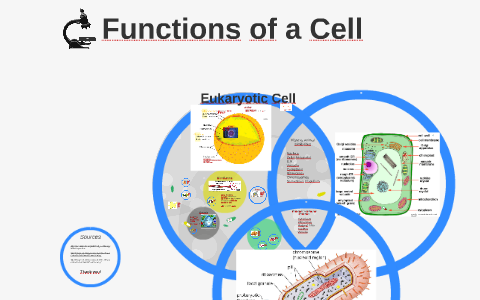 Functions of a Cell by Miles Mazel on Prezi