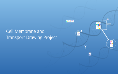 Cell Membrane and Transport Drawing Project by Deana Taheri on Prezi