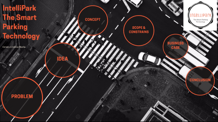 IntelliPark by Cristina Maria Feraru on Prezi