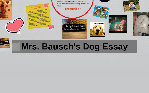Mrs. Bausch's Dog Essay by Judy Bausch on Prezi